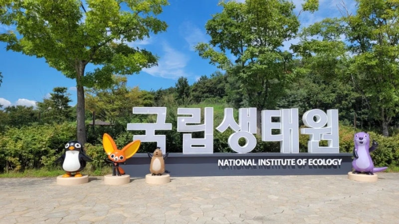서천장항여행 5 서천 국립생태원 관람 입장료기차 에코리움놀이터 네이버 블로그
