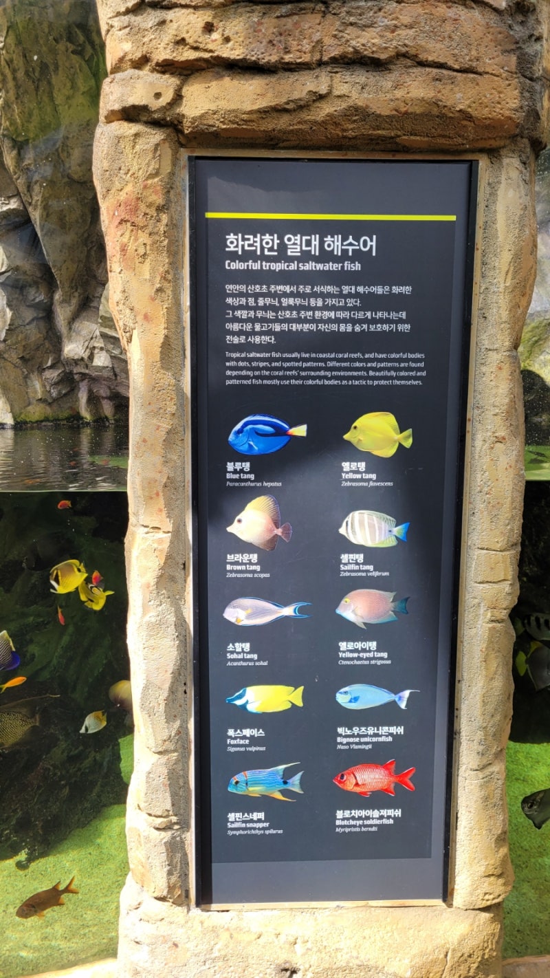 서천장항여행 5 서천 국립생태원 관람 입장료기차 에코리움놀이터 네이버 블로그