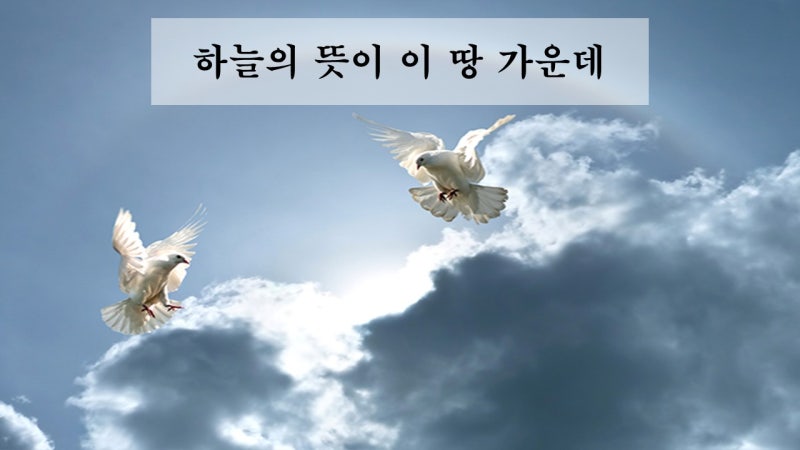 믿음으로 서리라이 곳에 임하신 하나님 나라가사 Ppt특송찬양여성솔로혼성 네이버 블로그