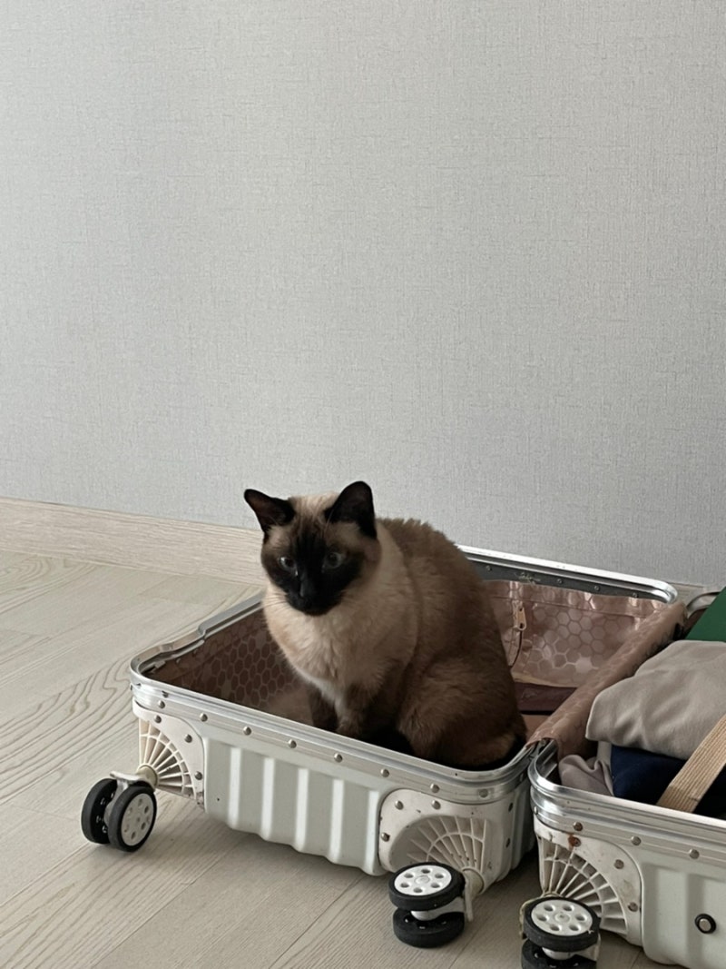 [보홀여행] 보홀여행 완벽정리! 5박 6일 일정, 경비, 투어 가격, 준비물 총 정리편(2) : 네이버 블로그