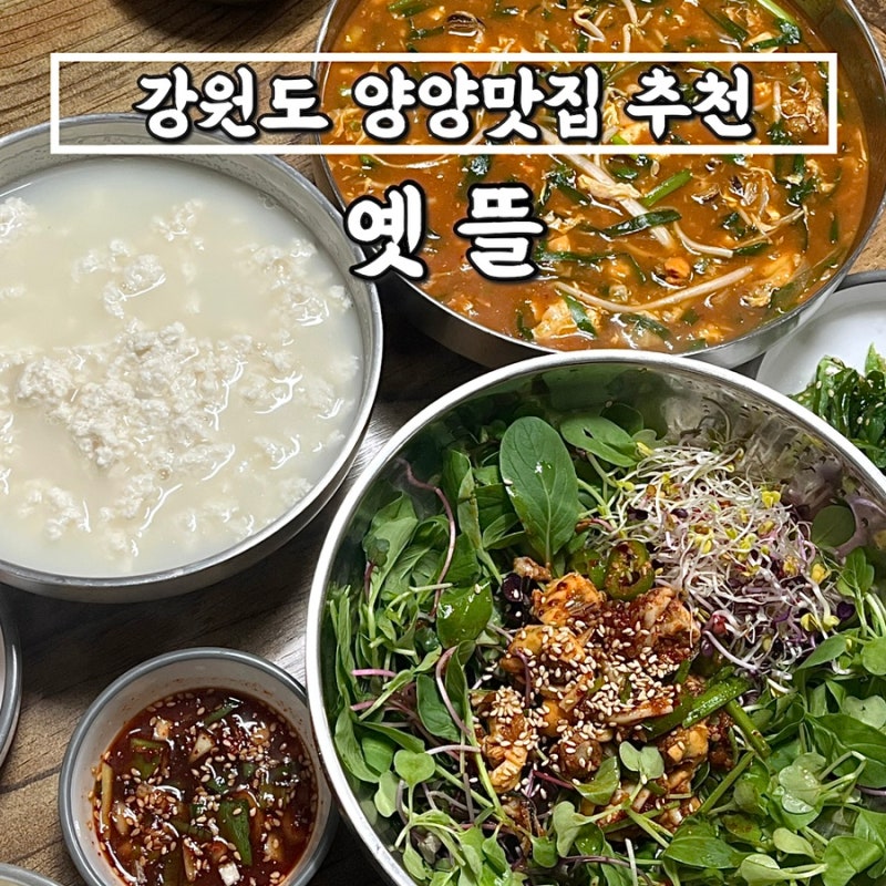 강원도 양양맛집 추천 옛뜰 섭국 섭비빔밥 너무 맛있자나 웨이팅필수 모두부 못먹어서 아쉬운 후기 네이버 블로그