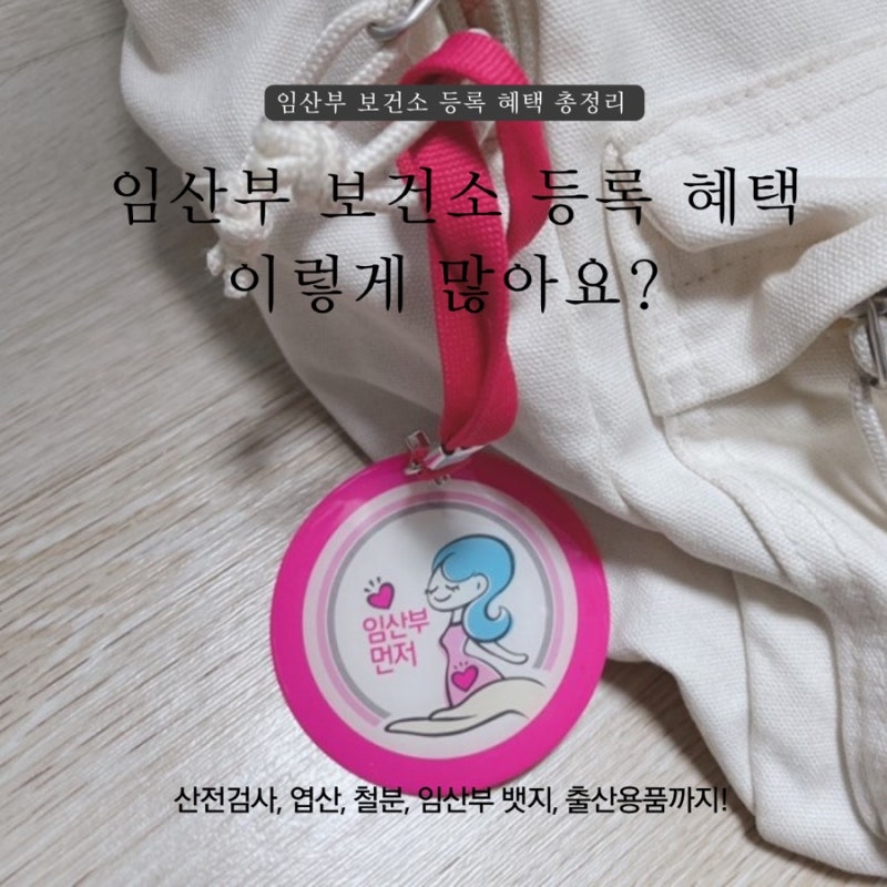 보건소 임산부 등록 혜택 총정리 철분제 임신전 임신초기 산전검사 뱃지 유축기 대여 네이버 블로그
