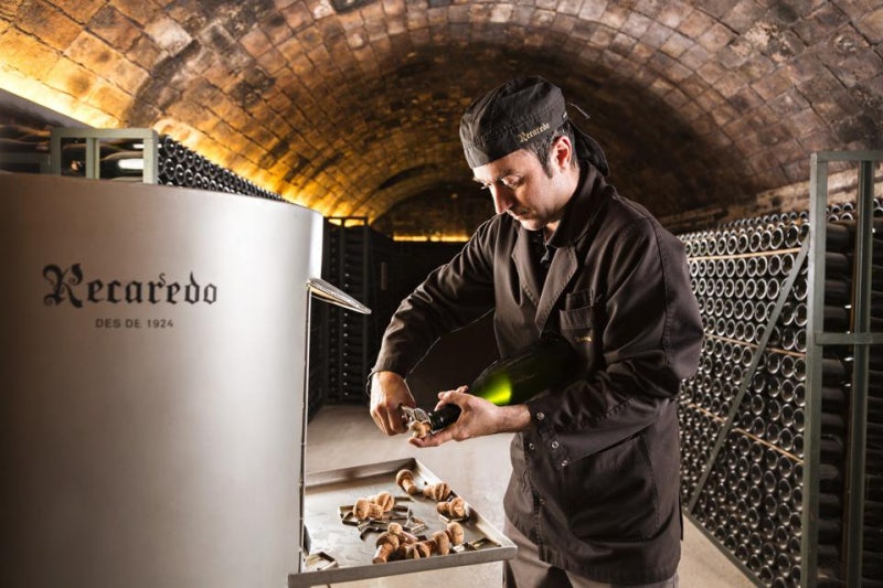 Recaredo, Terrers Brut Nature Cava (Corpinnat) Gran Reserva, 2013 (레카레도 ...