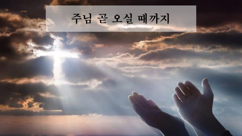 믿음으로 서리라이 곳에 임하신 하나님 나라가사 Ppt특송찬양여성솔로혼성 네이버 블로그