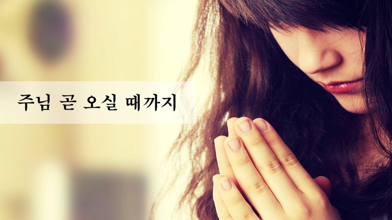 믿음으로 서리라이 곳에 임하신 하나님 나라가사 Ppt특송찬양여성솔로혼성 네이버 블로그