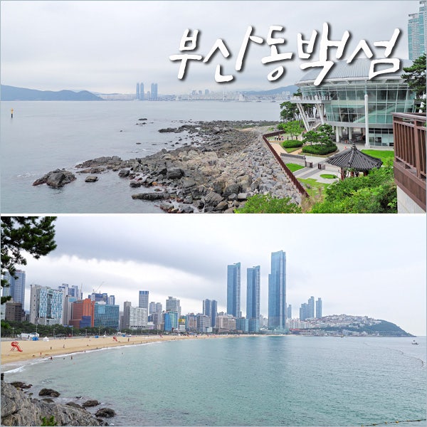 부산 해운대 여행 데이트코스 부산 동백섬 갈맷길 산책로 네이버 블로그