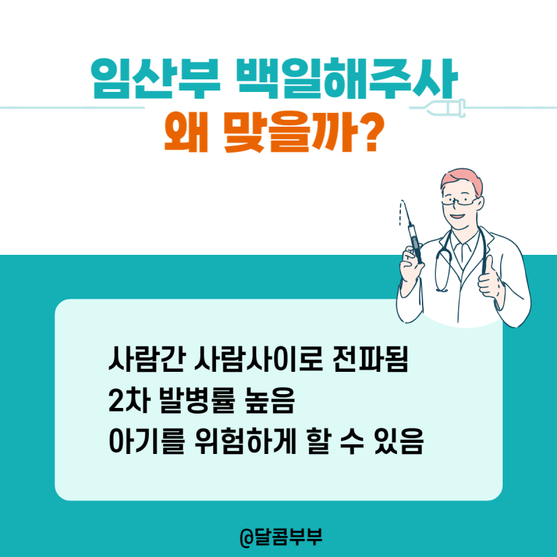 임산부 백일해주사 맞을까 말까가격 예방접종 시기 네이버 블로그