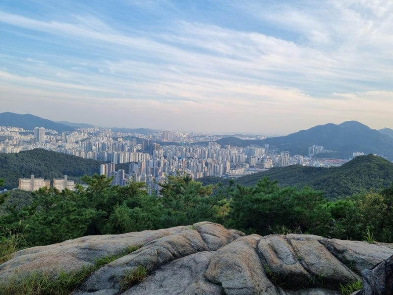 평촌요가 행복한담마요가 안양시 홍보 팜플렛 촬영♥ 네이버 블로그