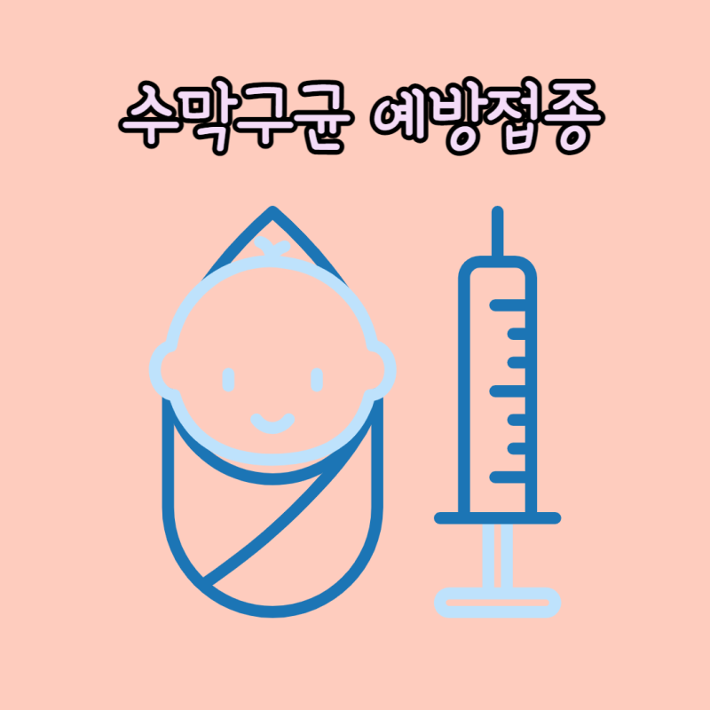 수막구균 예방접종 가격 시기 꼭 맞춰야할까 네이버 블로그