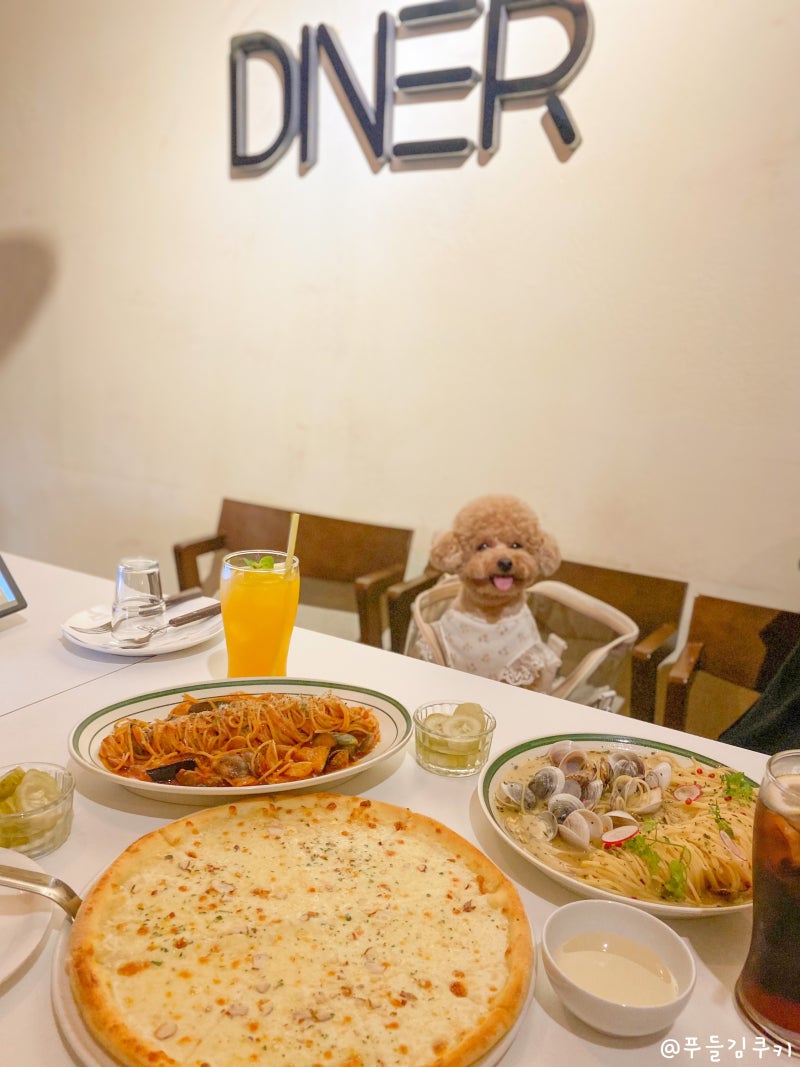 세종 다이너 Diner 애견동반식당 이탈리안레스토랑 강아지실내가능 네이버 블로그