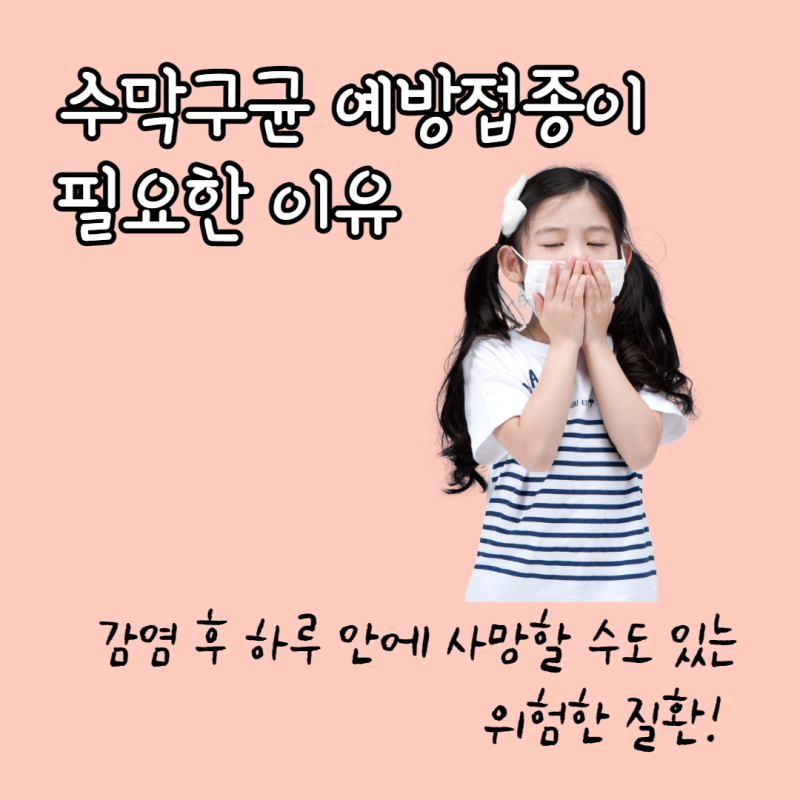 수막구균 예방접종 가격 시기 꼭 맞춰야할까 네이버 블로그