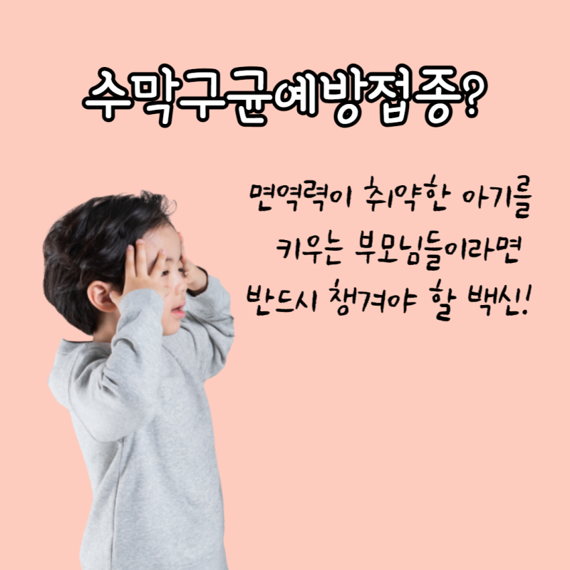 수막구균 예방접종 가격 시기 꼭 맞춰야할까 네이버 블로그