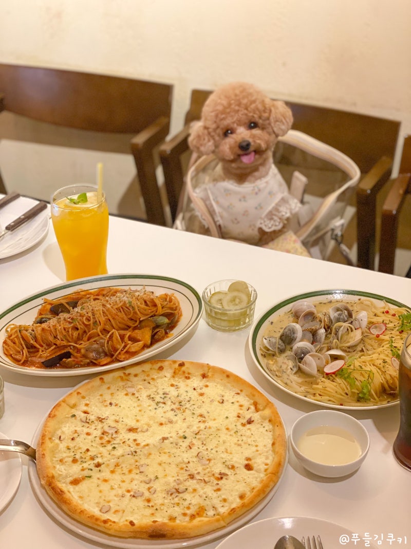 세종 다이너 Diner 애견동반식당 이탈리안레스토랑 강아지실내가능 네이버 블로그