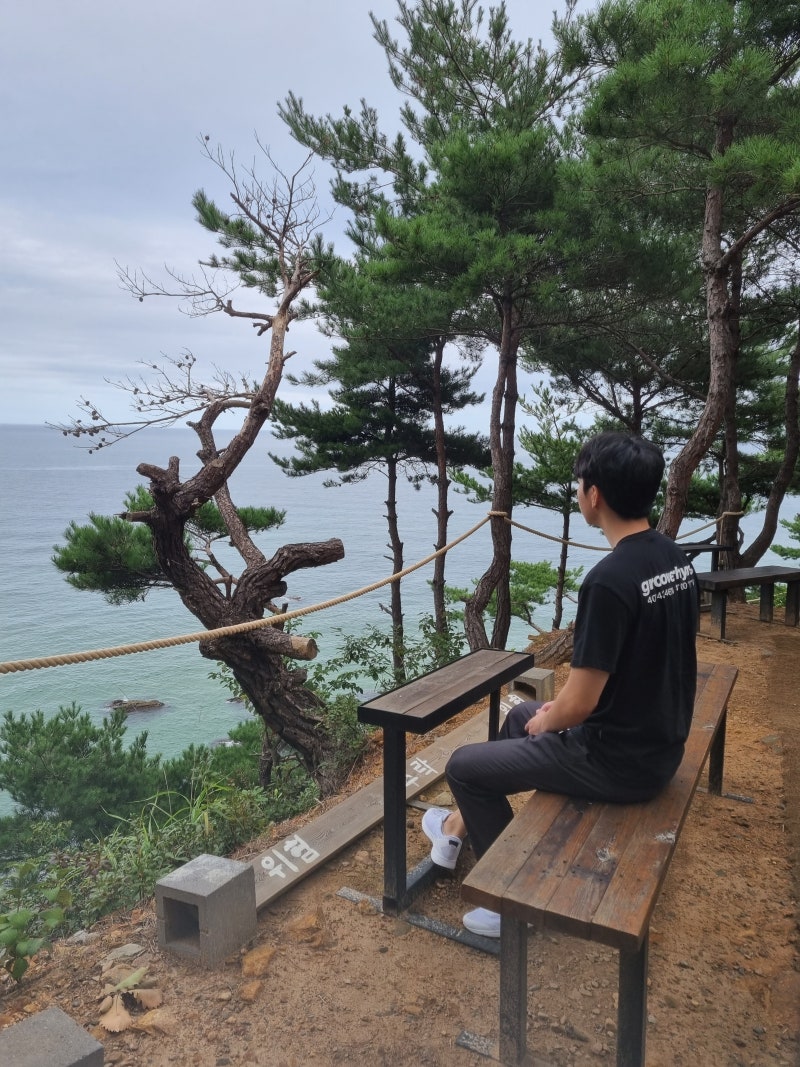 강릉 여행코스 정동진 가볼만한곳 하슬라아트월드 스테이인터뷰 카페 금진온천 보스대게 네이버 블로그