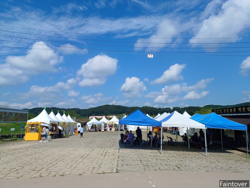 경기연천 연천 호로고루 연천 장남 통일바라기 축제 9월에 꼭 다녀오세요~ 네이버 블로그