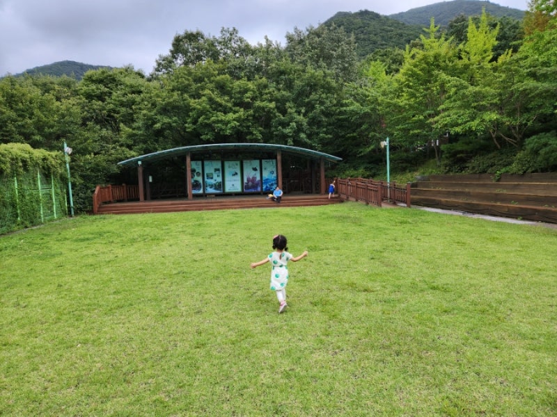 경남 양산 공립 대운산 자연휴양림 데크사진 데크명당 네이버 블로그