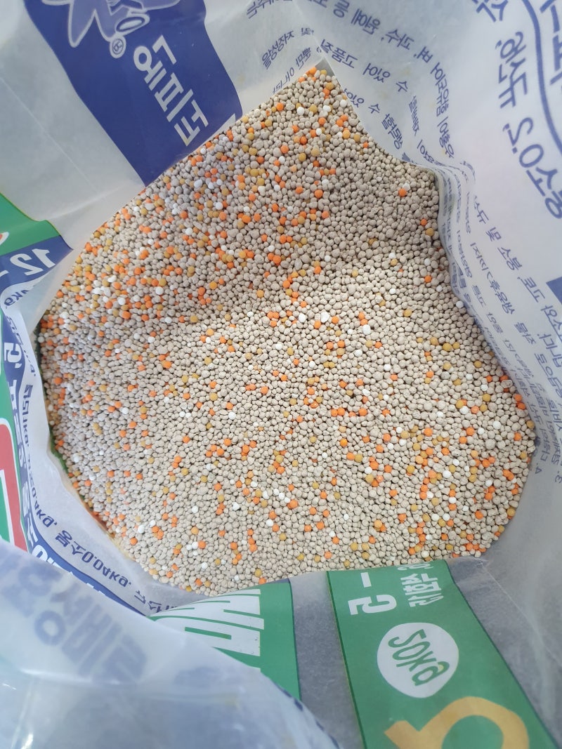 쪽파심는시기 파종시기 종자씨앗 심기 집에서 쪽파키우기 네이버 블로그