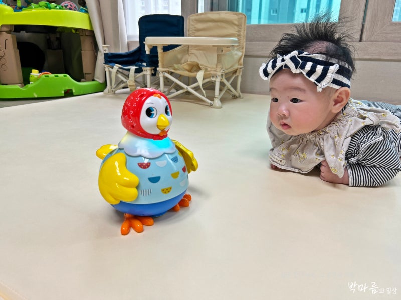 백일아기 꼬꼬맘 장난감 젤 완내스 네이버 블로그