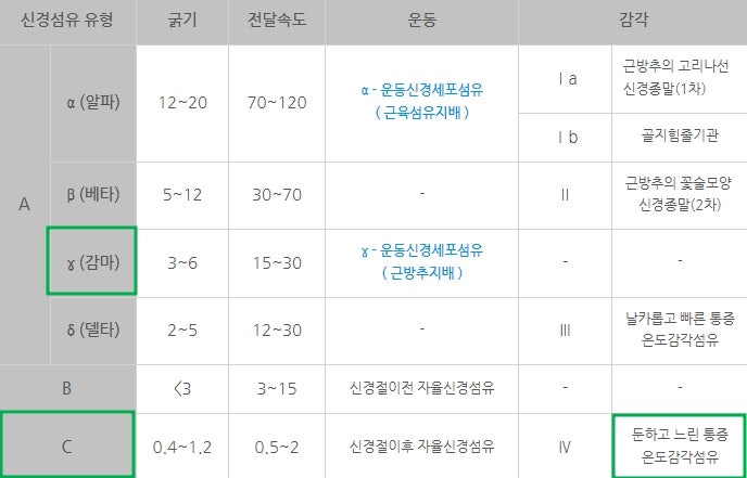 고주파치료, 자기장치료, 초음파치료, TENS, 저주파치료, ICT 응용 및 원리 : 네이버 블로그