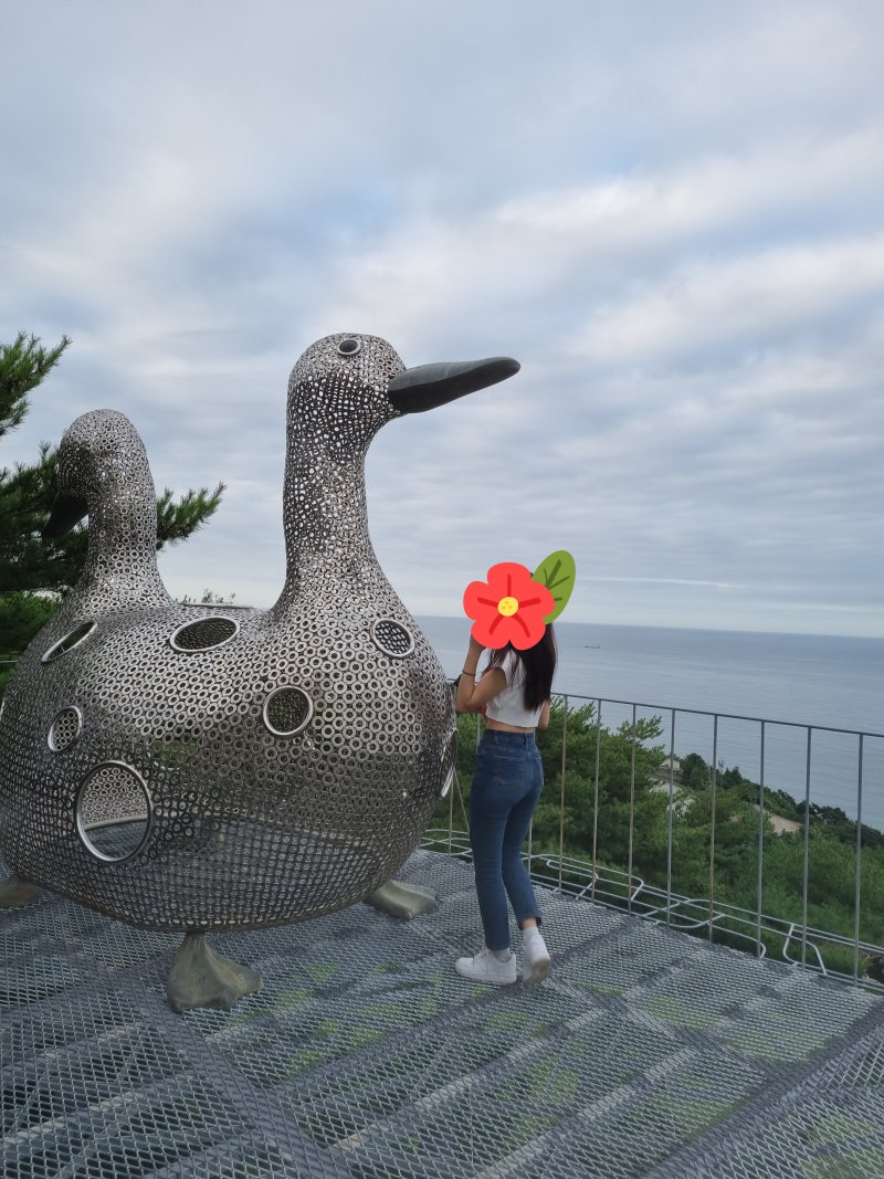 강릉 여행코스 정동진 가볼만한곳 하슬라아트월드 스테이인터뷰 카페 금진온천 보스대게 네이버 블로그