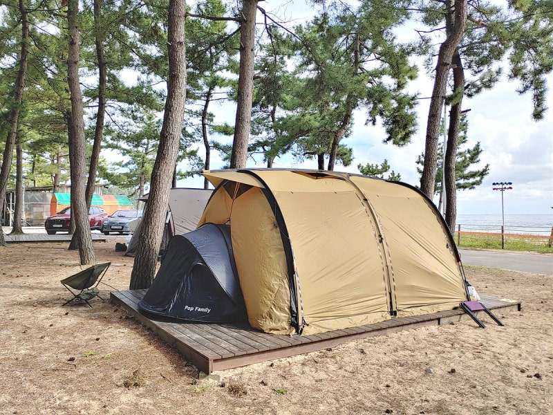 터널형 텐트 겸 쉘터 미니멀웍스 브이하우스M : 네이버 블로그