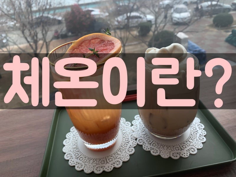 활력징후 Vital Sign 체온맥박호흡혈압 성인아동 정상범위 네이버 블로그