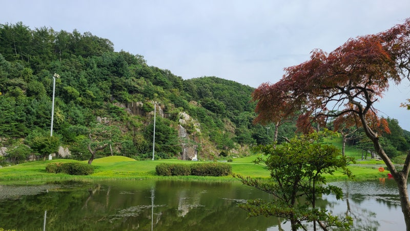 강원도 골프장 센추리21cc 후기 : 네이버 블로그