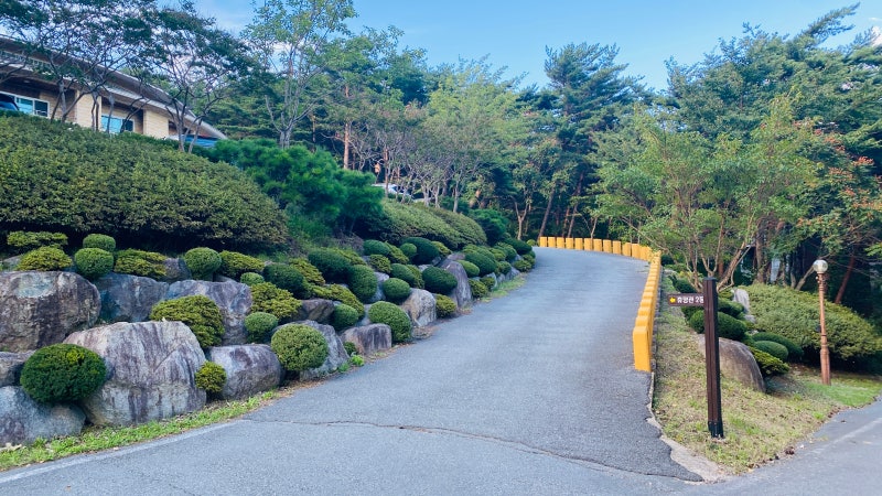 경북 영덕 국립 칠보산자연휴양림 및 산림복합체험센터 산책길 이용후기 네이버 블로그