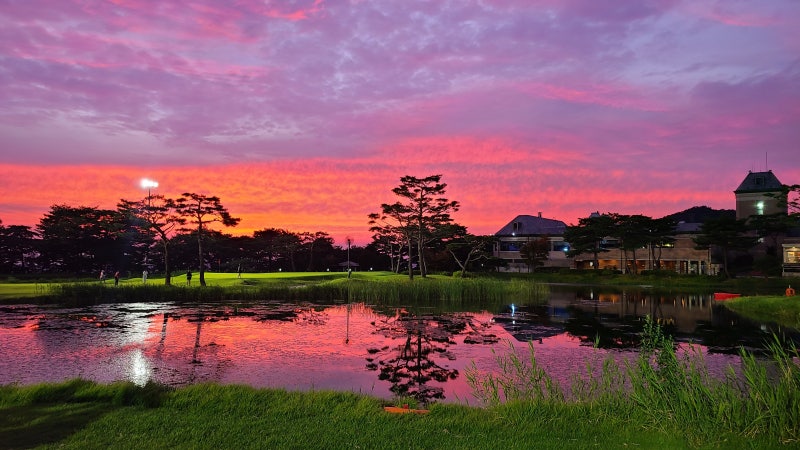 강원도 골프장 센추리21cc 후기 : 네이버 블로그