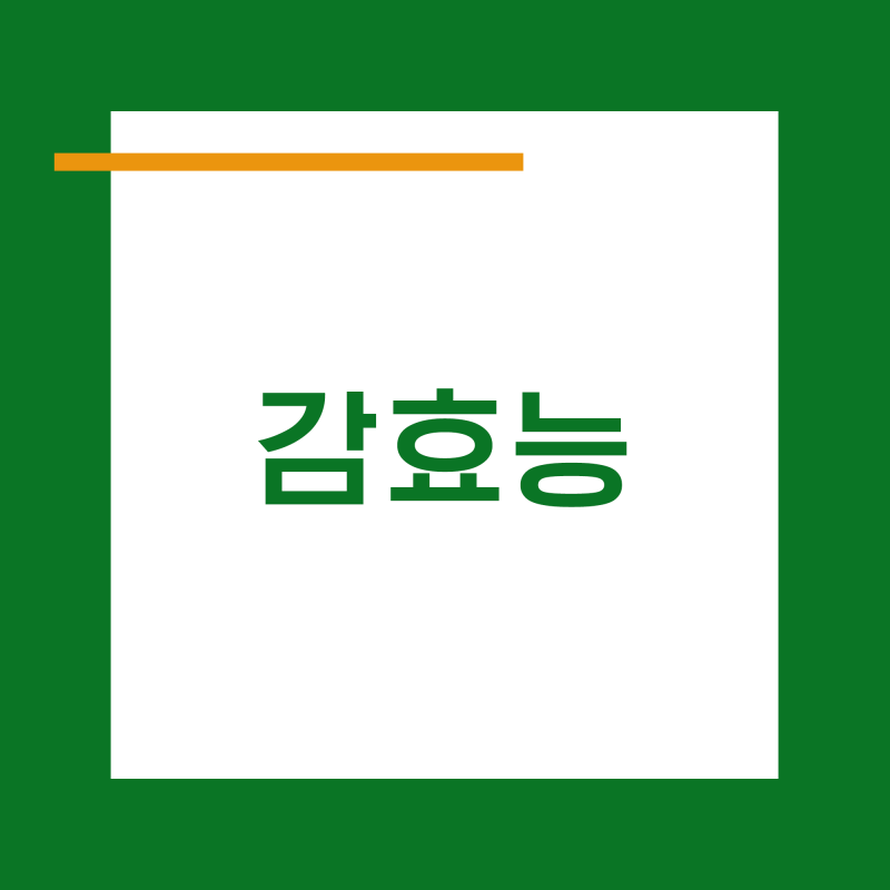 감효능 단감 대봉감 홍시 연시 곶감의 효능 숙취해소법 고혈압에좋은음식 항산화식품 네이버 블로그