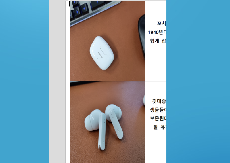 한글 표 안에 딱 맞게 그림 삽입하기셀 크기와 사진 크기 맞추기 네이버 블로그