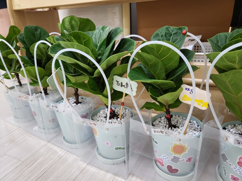 안양 유치원 가을 원예 체험활동 식물심기 찾아오는 체험학습 학부모참여수업으로 추천해요 네이버 블로그