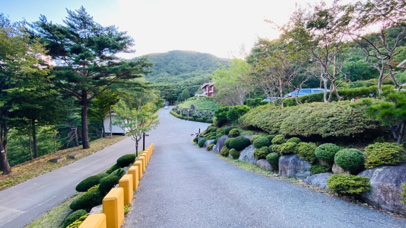 경북 영덕 국립 칠보산자연휴양림 및 산림복합체험센터 산책길 이용후기 네이버 블로그