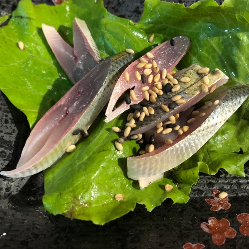 남돈내산 전주 대박수산 신선한 광어와 전어회가 맛있는 서신동횟집 추천 네이버 블로그