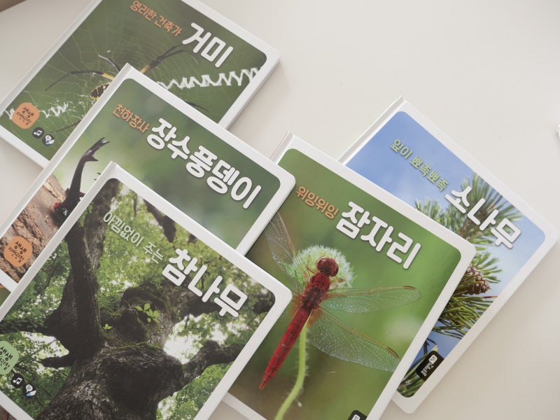 자연관찰책 블루래빗 유아 두돌아기 전집으로 가을맞이중 네이버 블로그