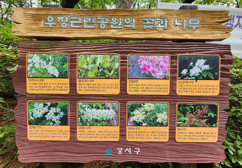 서울 걷기 좋은 길 우장산공원 둘레길 네이버 블로그
