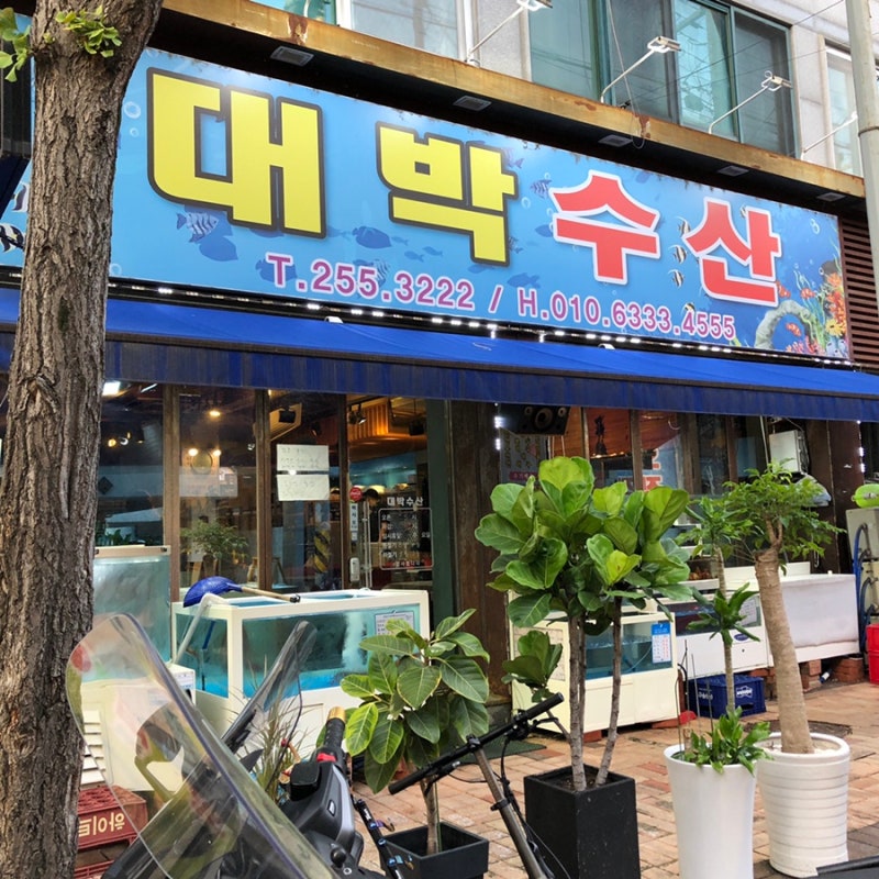 남돈내산 전주 대박수산 신선한 광어와 전어회가 맛있는 서신동횟집 추천 네이버 블로그