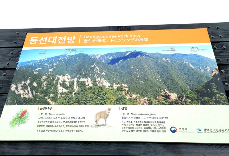 7년만에 재개방 설악산 흘림골 ~등선대~주전골~오색등산코스 예약정보 주차방법 네이버 블로그
