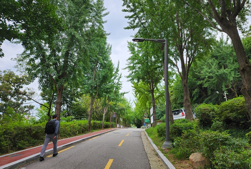 서울 걷기 좋은 길 우장산공원 둘레길 네이버 블로그