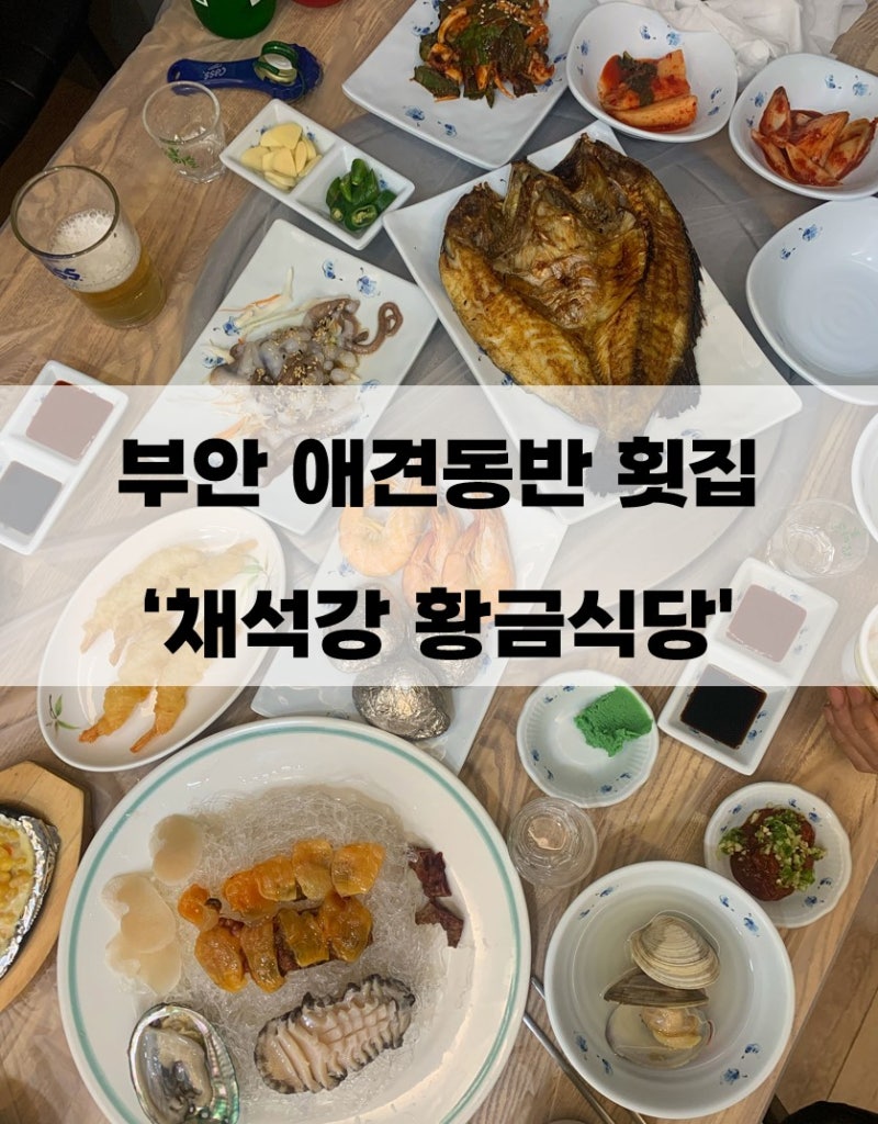맛집 부안 애견동반 횟집 채석강황금식당 네이버 블로그