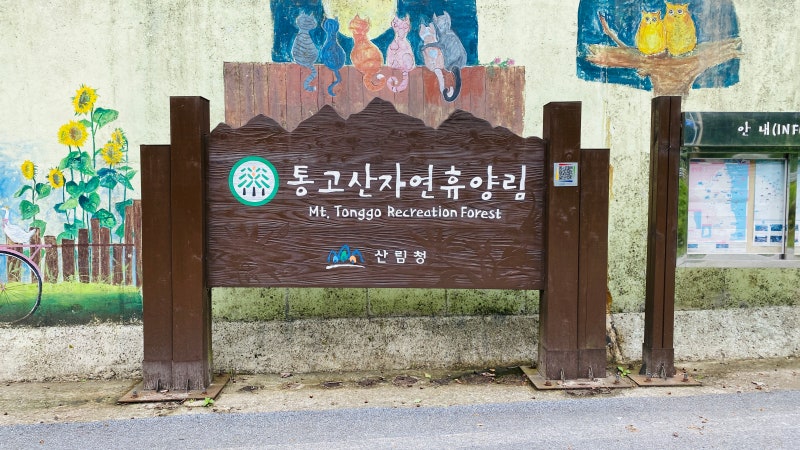 경북 울진 국립 통고산자연휴양림 이용후기 울진가볼만한곳 네이버 블로그