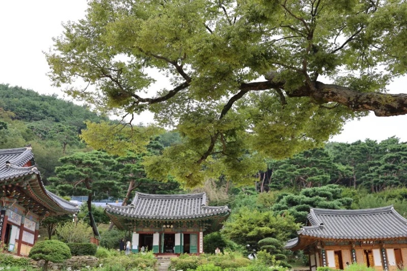 인천강화도여행 강화도 가볼만한곳 전등사 주차 입장료 정보 네이버 블로그