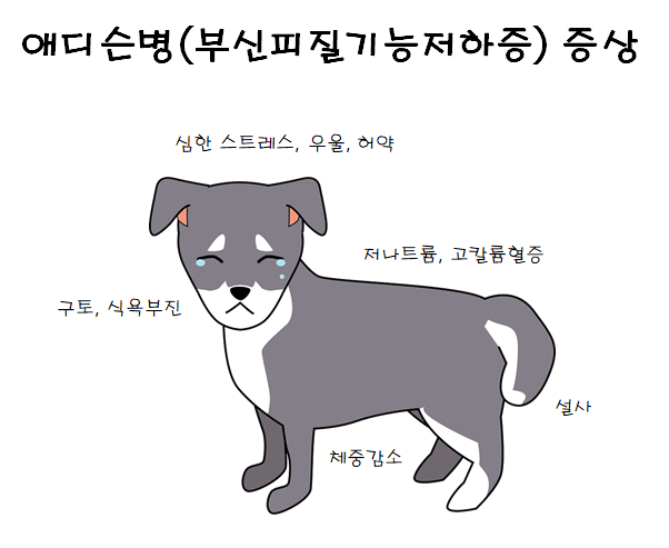 강아지 에디슨 증후군 애디슨병 증상과 치료 네이버 블로그