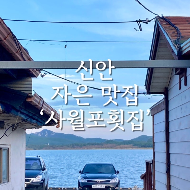 신안 자은도 맛집 현지인이 추천하는 자연산 회가 맛난 사월포횟집 네이버 블로그