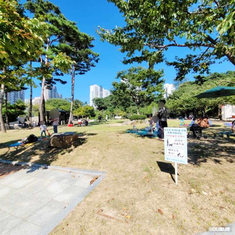 용인 기흥 아이와 가볼만한 곳 만골근린공원 대형미끄럼틀잔디광장 바닥분수 네이버 블로그