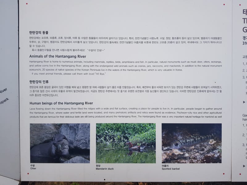 한탄강 세계 지질 공원 비둘기낭폭포 한탄강둘레길추천 한탄강주상절리길한탄강추천장소 네이버 블로그
