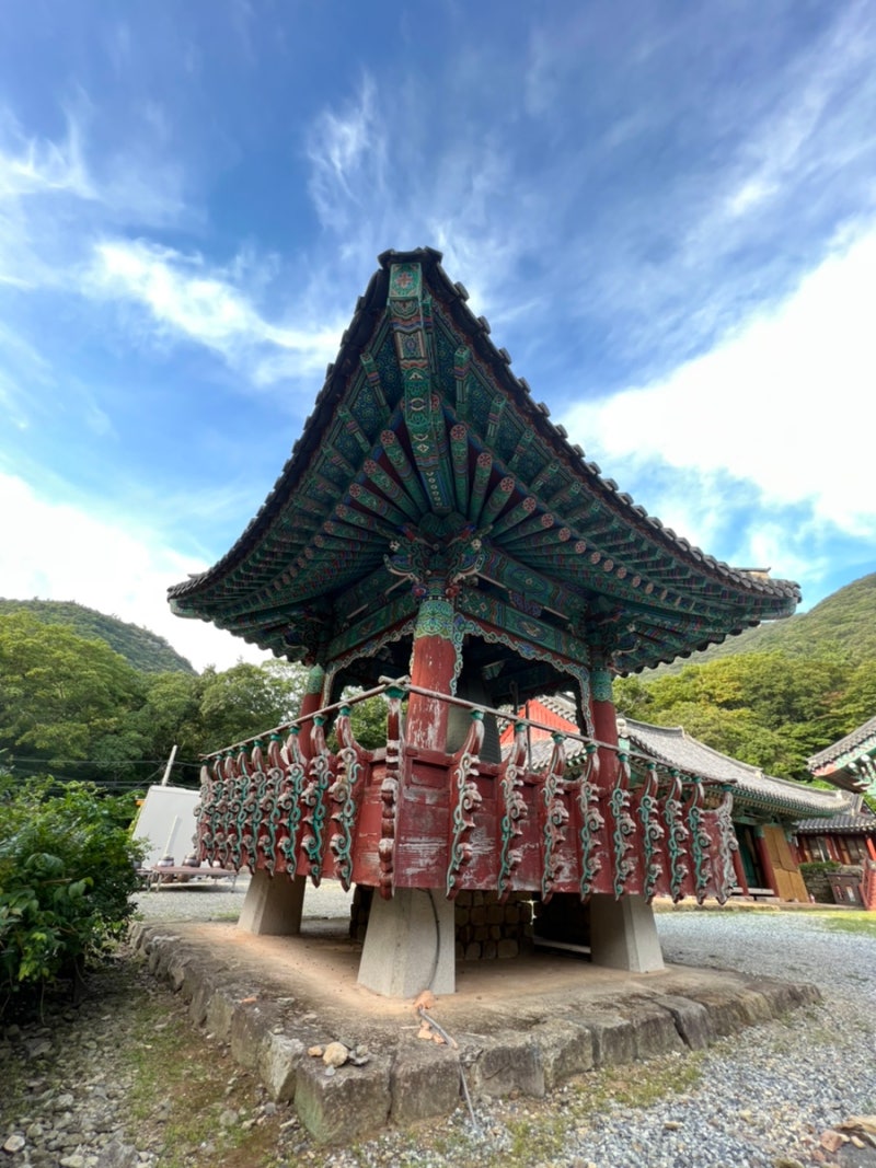 진도여행 천년고찰 첨찰산 상록수림 진도 쌍계사 다녀왔어요 네이버 블로그