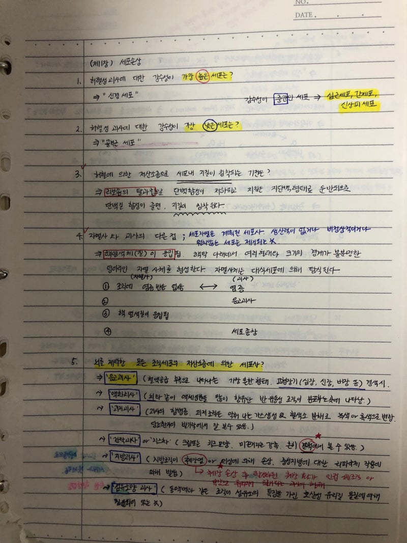 노인전문간호사전문간호사 국시국가고시 합격후기 Part1 네이버 블로그