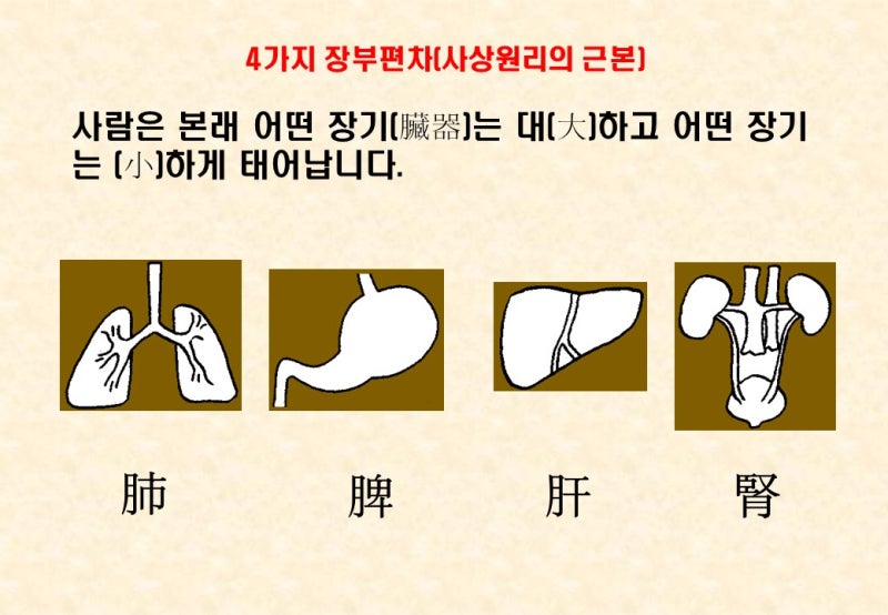 사상체질 진단법 ㅣ 사상체질 진단 총정리 ㅣ 사상체질 해석 ㅣ 사상체질 ㅣ 사상체질 강사 ㅣ 사상체질 이동훈 강사 ㅣ 사상체질