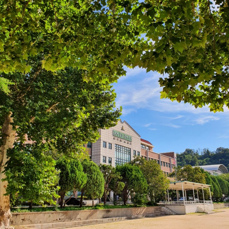 ADsP 독학 ! 5일 벼락치기 공부법 ⭐ 제34회 데이터 분석 준전문가 합격 후기 ! (시험접수, 서울 성남고, 수험표 출력, 교재, ADsP 총정리) : 네이버 블로그